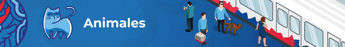 SoporteViajes - Metro de Quito